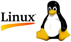 Linuxにnkfをインストールする方法: 小粋空間